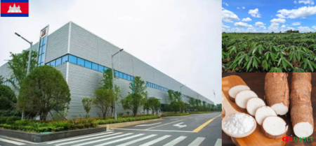 Dahui International Food Co. Ltd